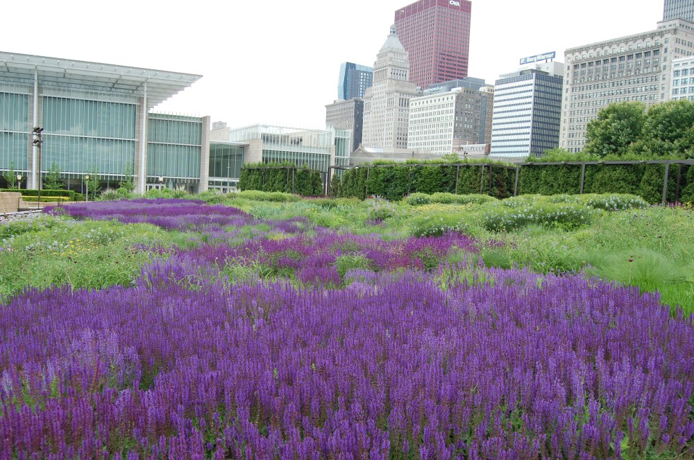 Chicago’s Lurie Garden – gardeninacity