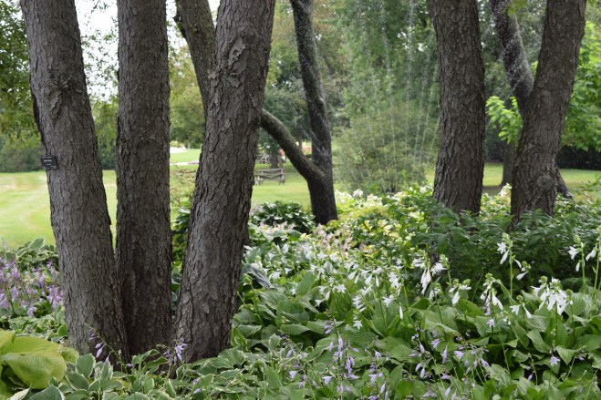 A Visit To The Klehm Arboretum – gardeninacity