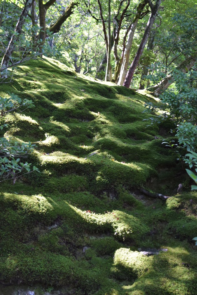 The Beauty of Mosses at Ginkaku-ji – gardeninacity