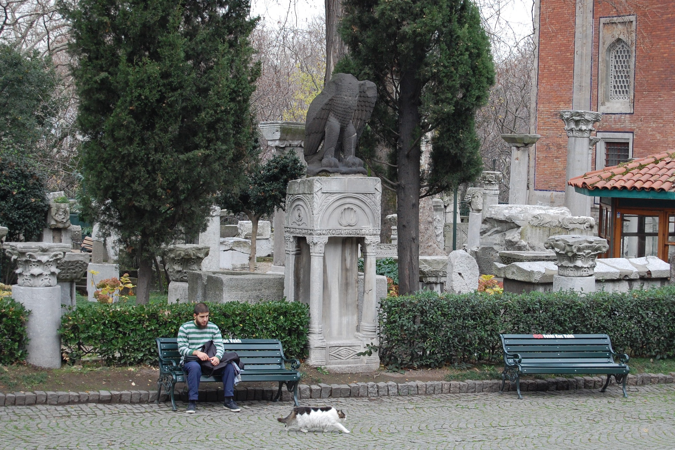 A Movie About the Cats of Istanbul – gardeninacity
