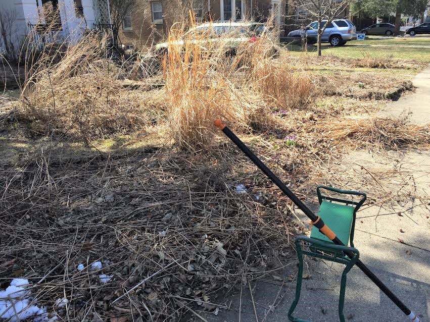 Spring Cleanup Begins – gardeninacity