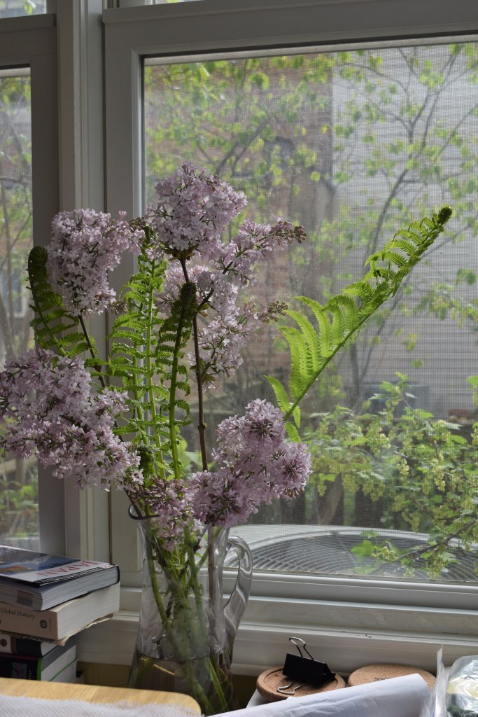 How to Bring Lilacs Inside – gardeninacity