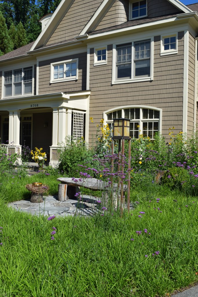 Garden Splendor in Sun and Shade – gardeninacity