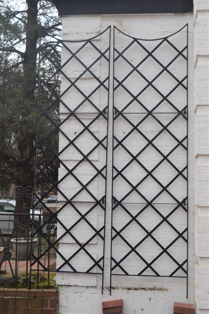New Trellis Installed! – gardeninacity