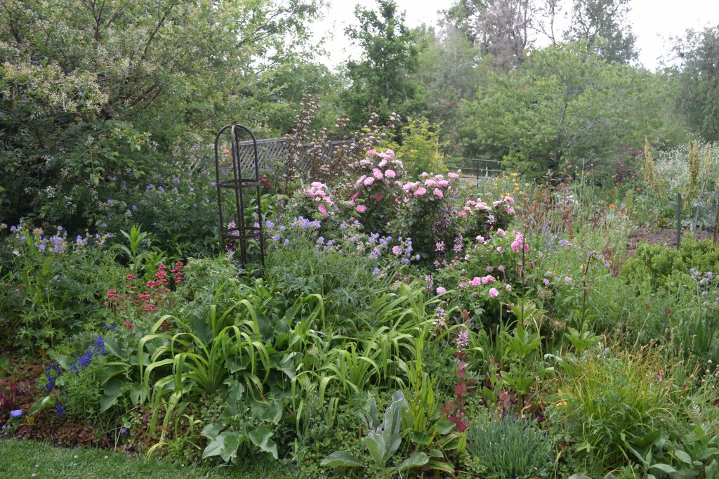 The Garden of Panayoti Kelaidis – gardeninacity