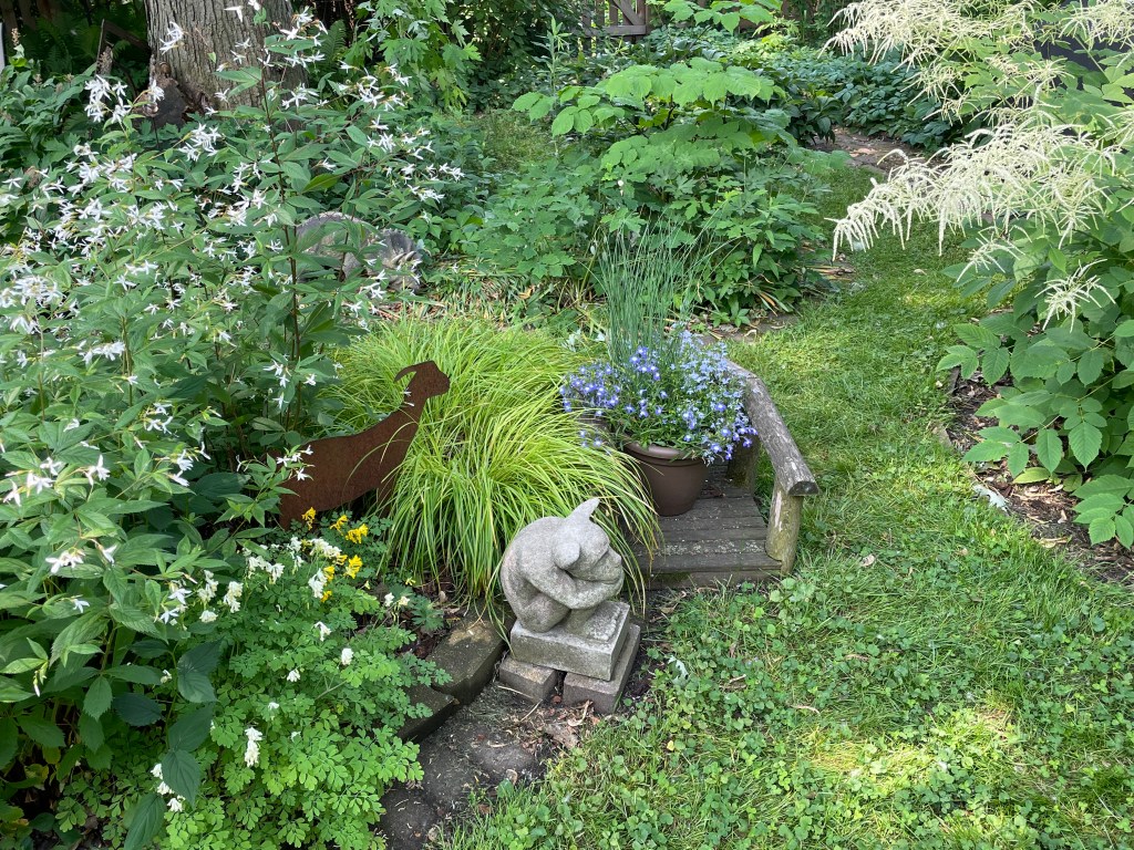 gardeninacity – Notes from a wildlife-friendly cottage garden